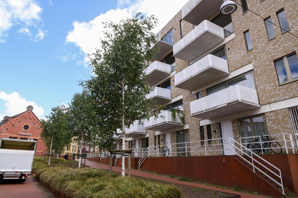 Rental Apartments Groningen