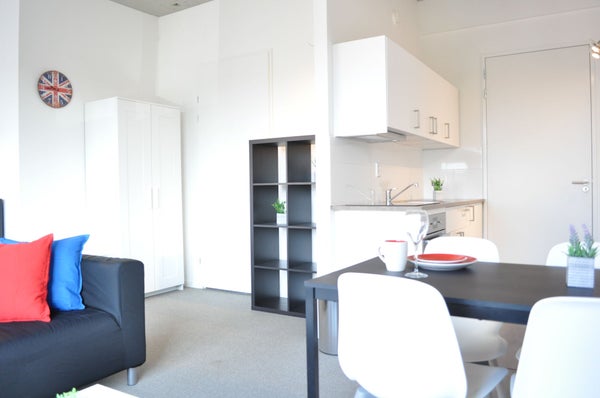 All studios in Eindhoven